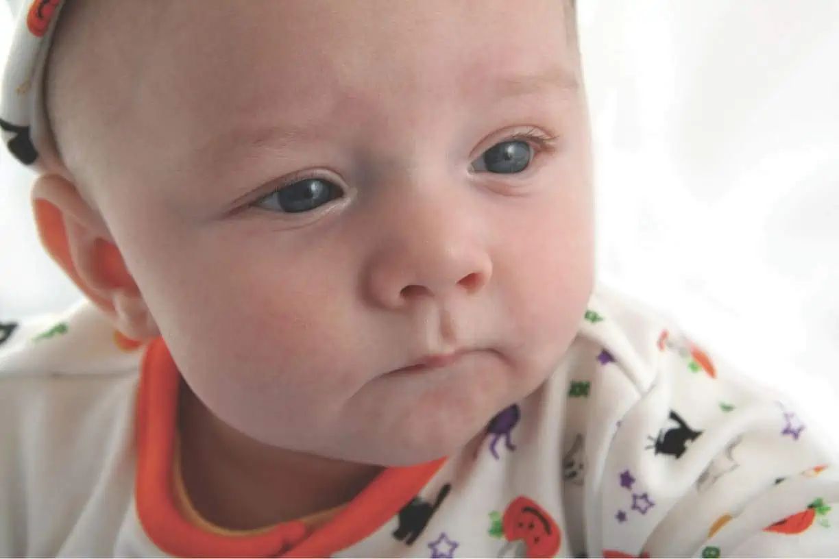 Donate - IAHP