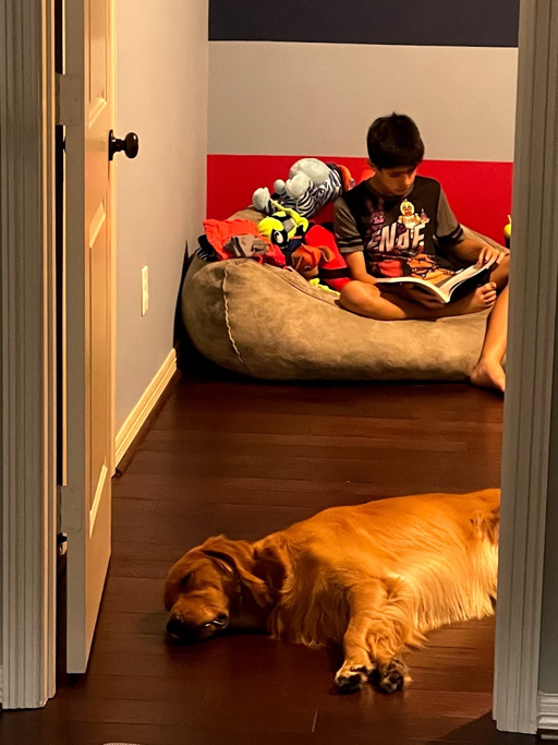 Dx Autism Spectrum: Dylan's Success Story (3 Year Update) - IAHP