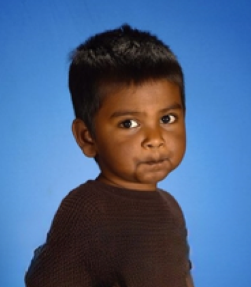 Language Development Results - IAHP